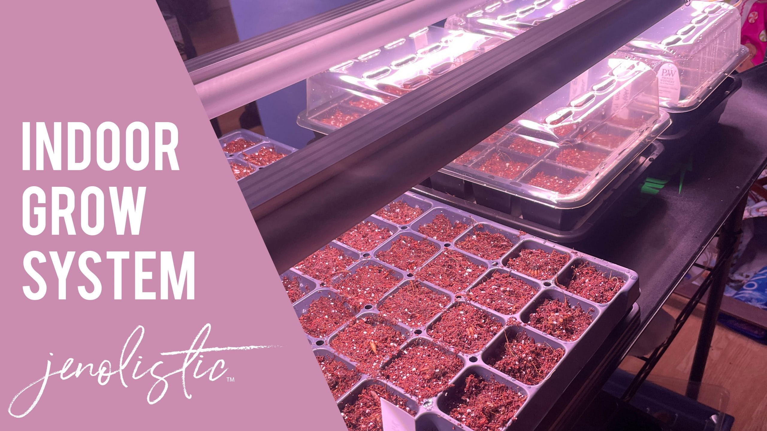 [VIDEO] How I made an indoor grow light garden set up on the cheap 2021 ...